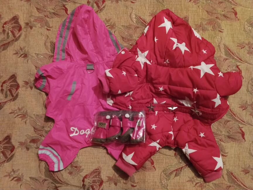 Одежда для собак