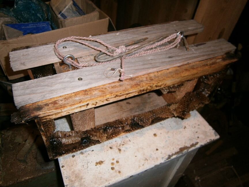 Ловушки пчелиных роёв, пасечные