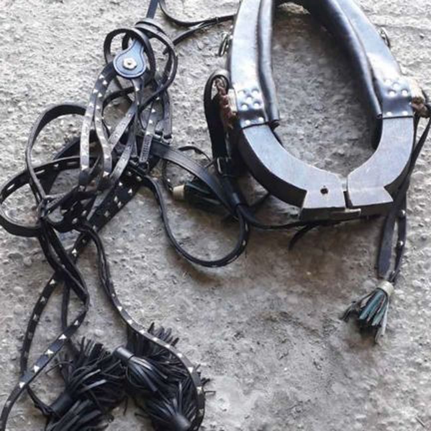 Упряжь для пони