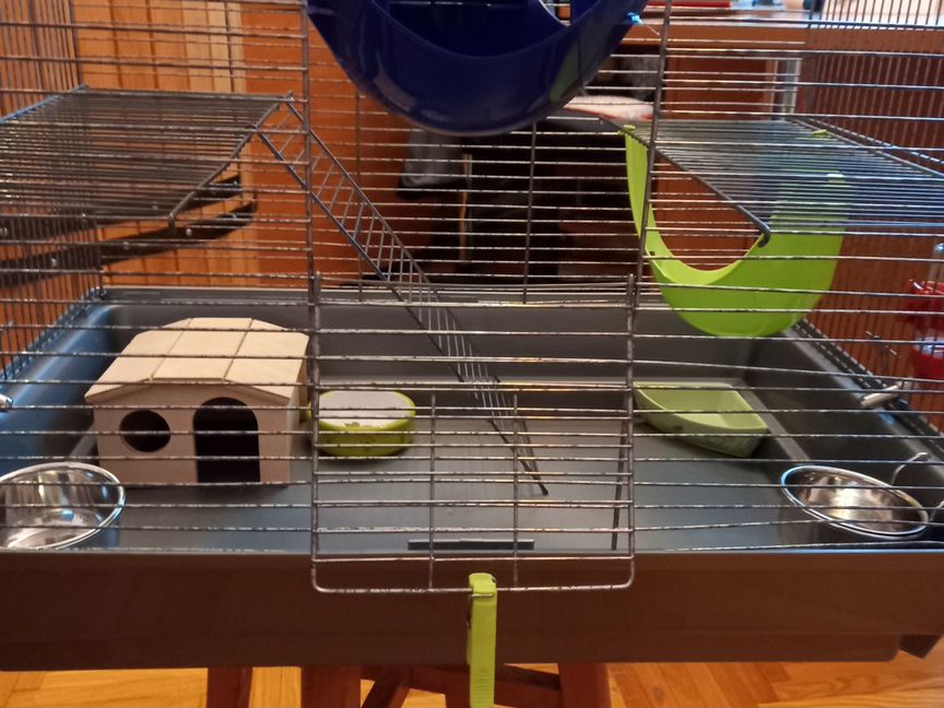 Большая клетка для крыс