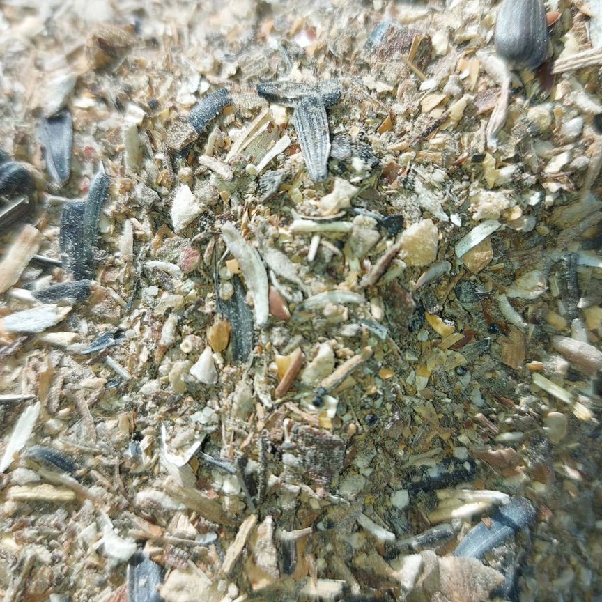 Отходы семечки