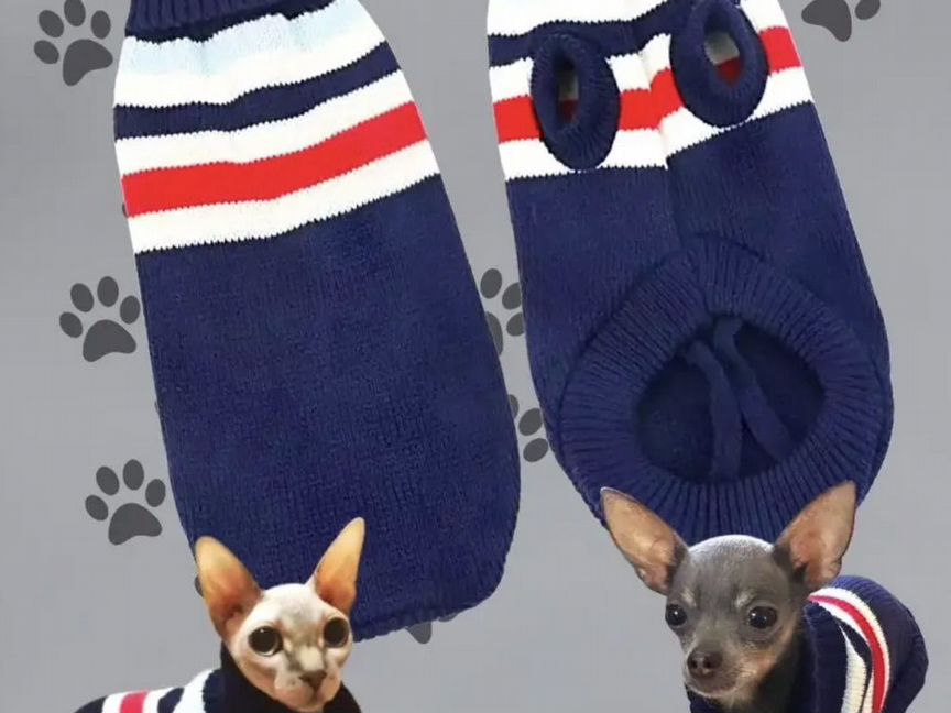 Одежда для котов