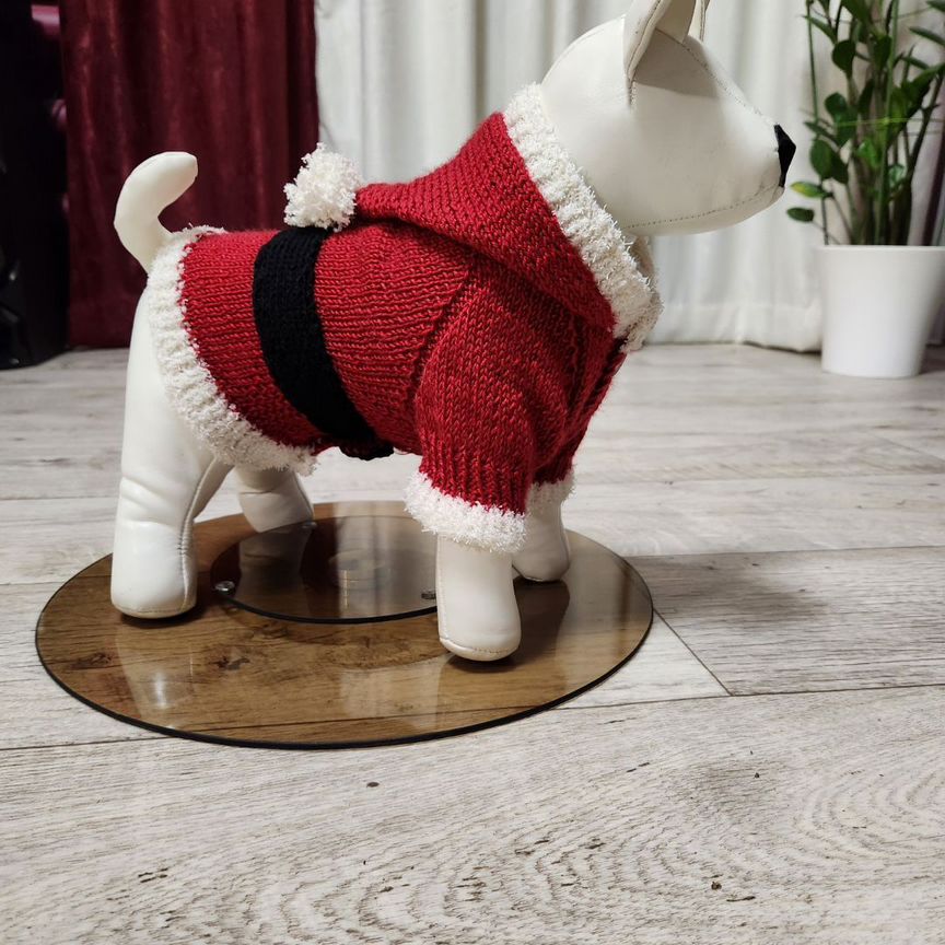 Одежда для собак