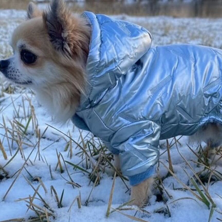 Демисезонный комбинезон-куртка для собак