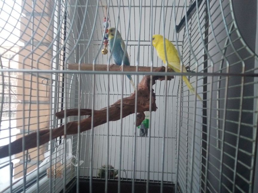 Бронь