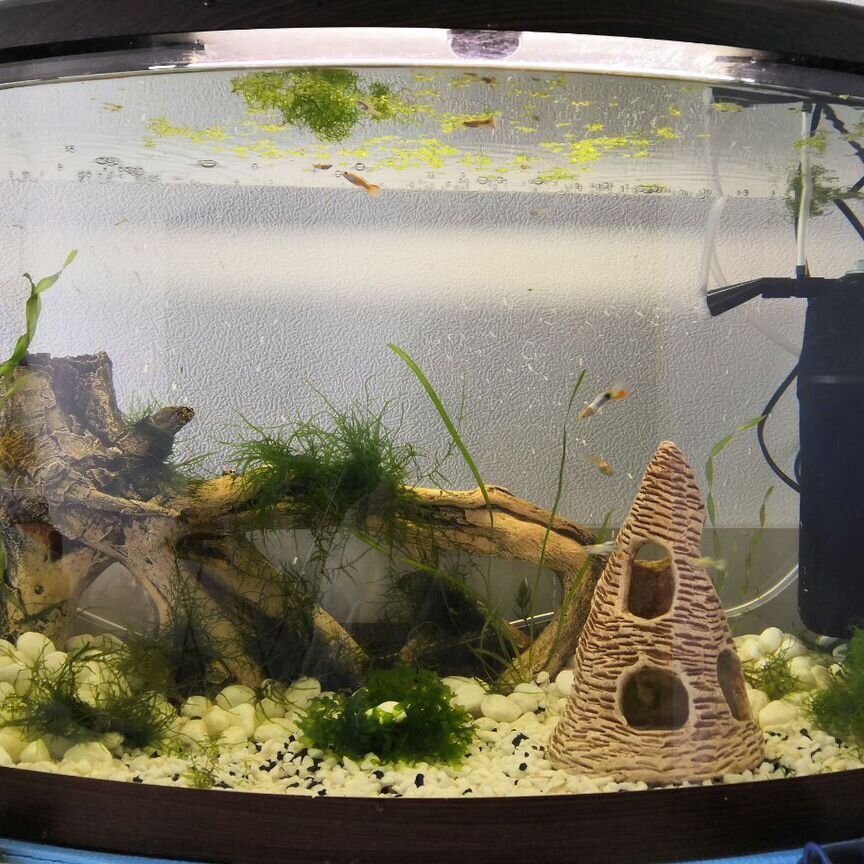 Аквариум aquaplus