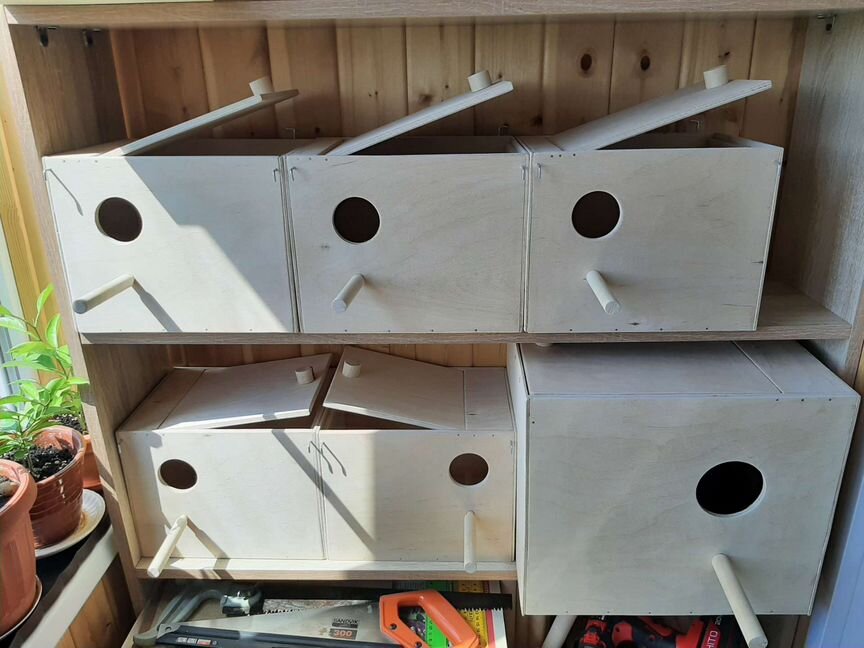 Гнездовые домики для попугаев