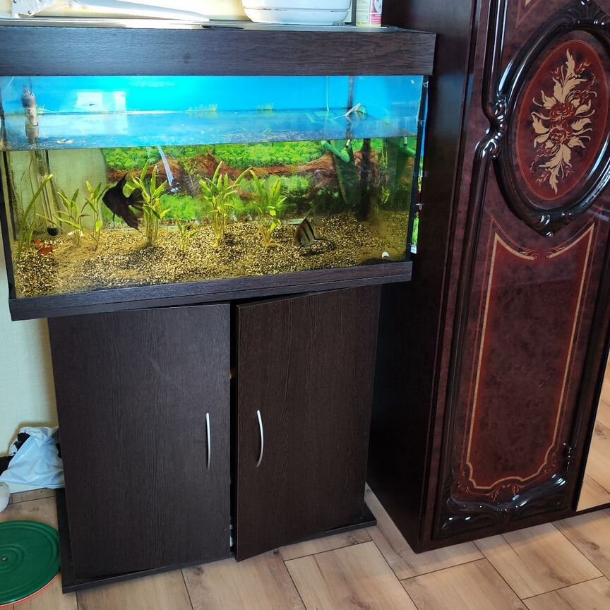 Аквариум с тумбой бу, 145л