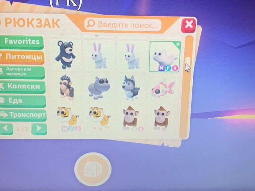 Петы адопт ми