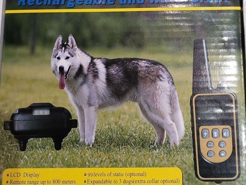 Умный ошейник для собак