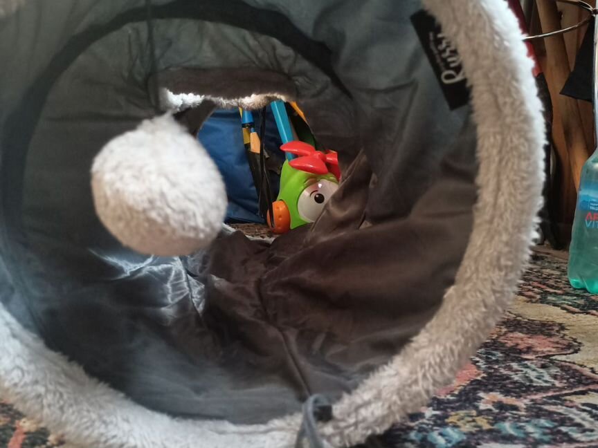 Туннель для кошек