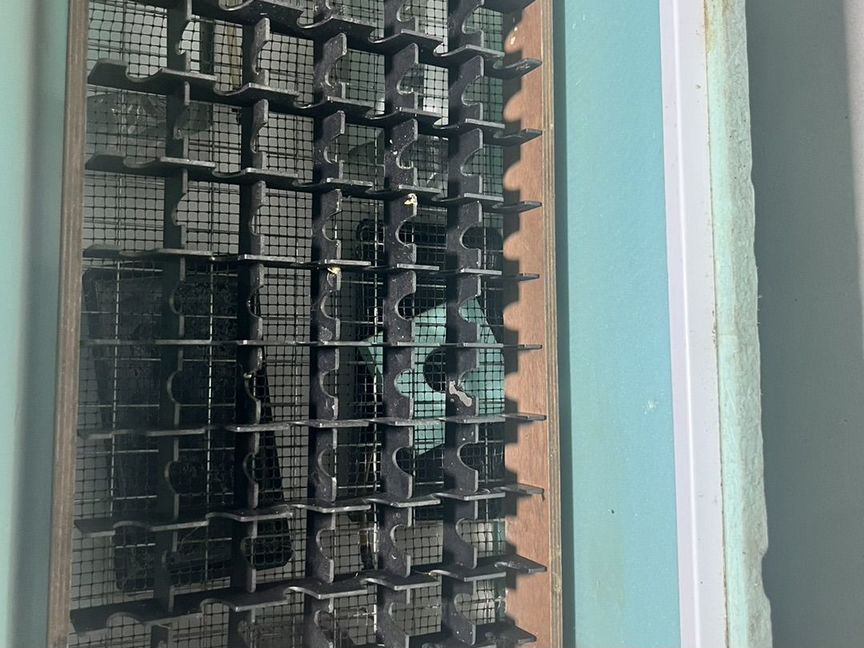 Инкубатор для яиц