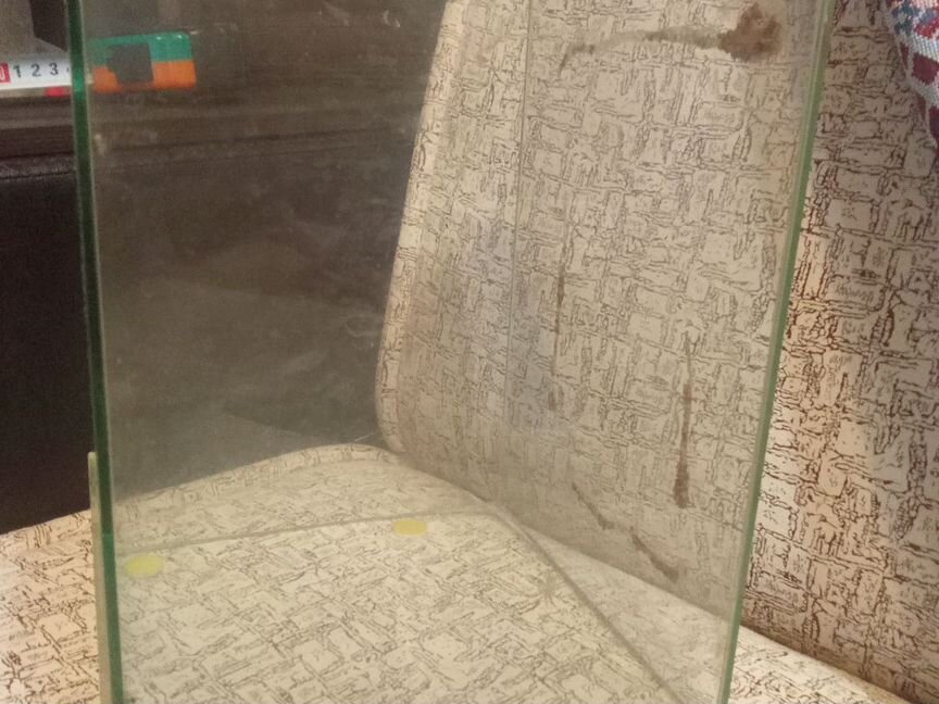 Террариум, паучатник