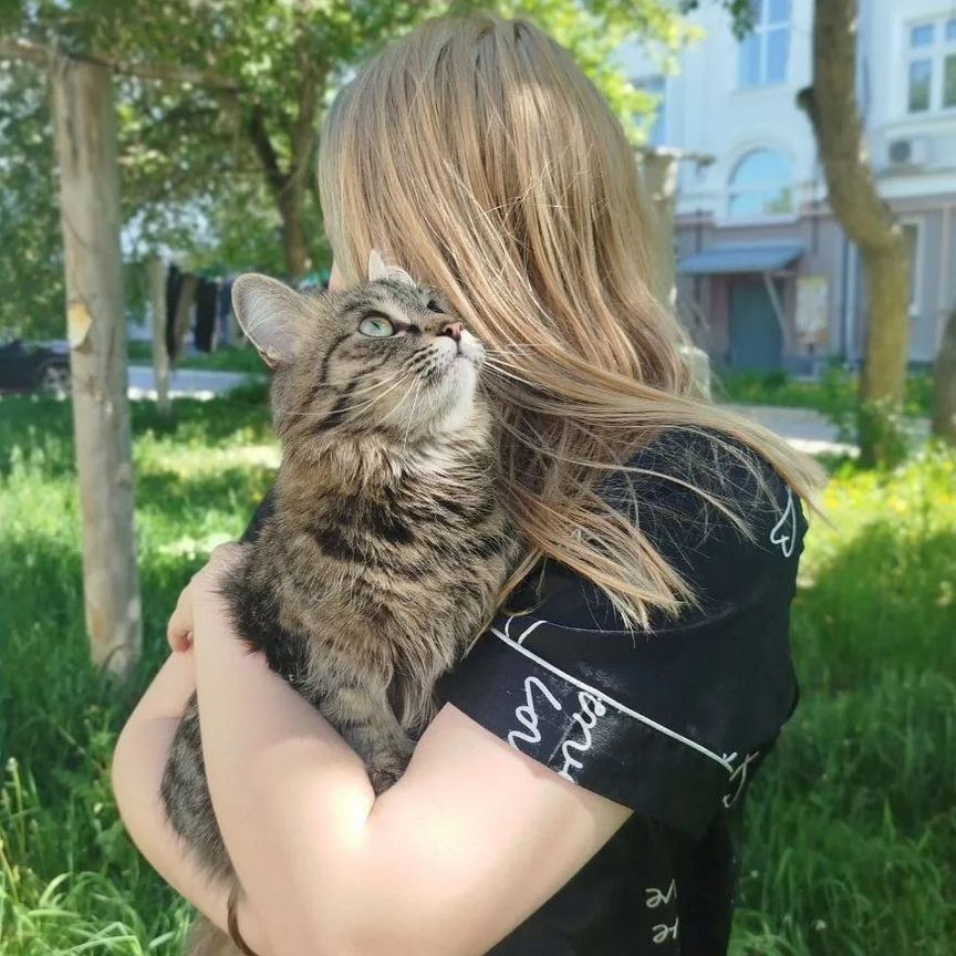 Взрослая, кошка в добрые руки