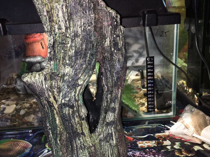 Декор для аквариума бревно