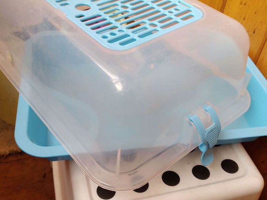 Контейнер для животных,черепах,рептилий