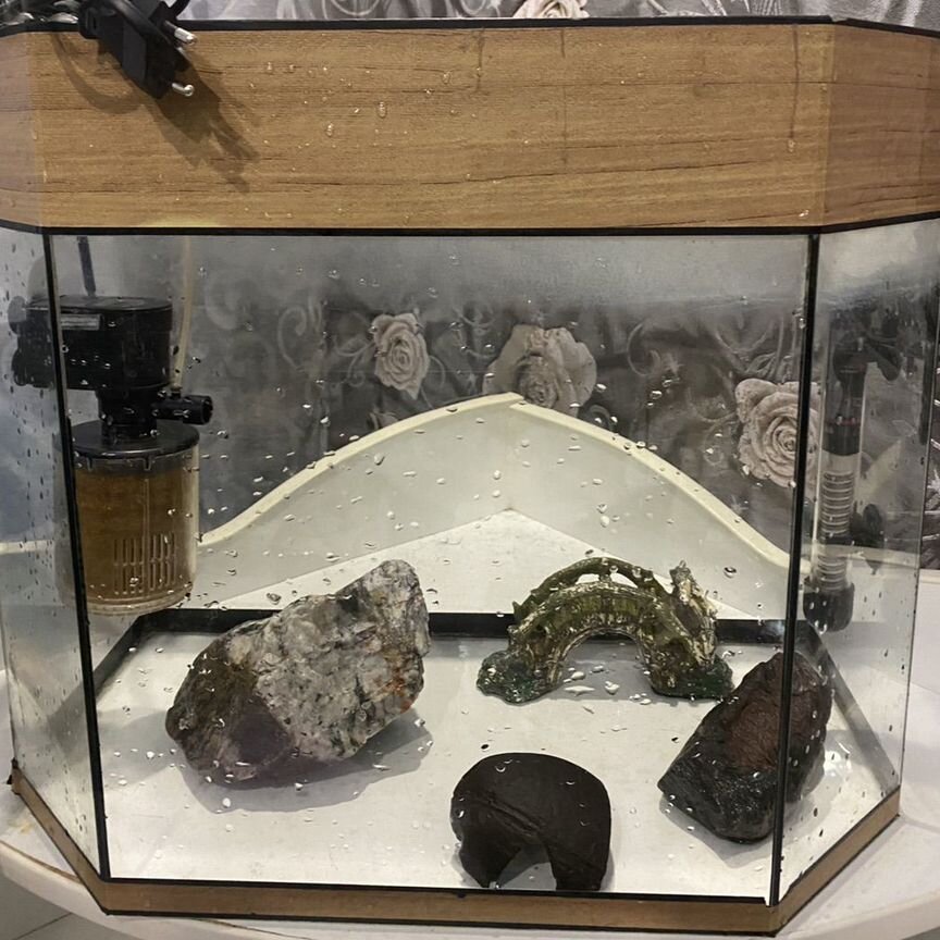 Аквариум