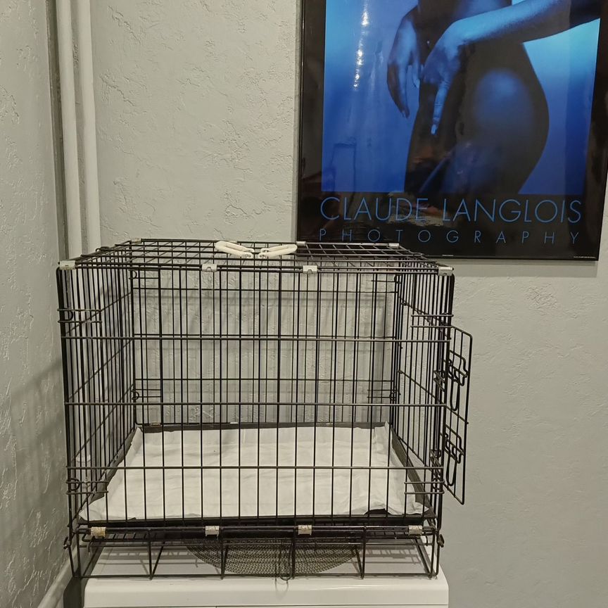 Клетка для животных