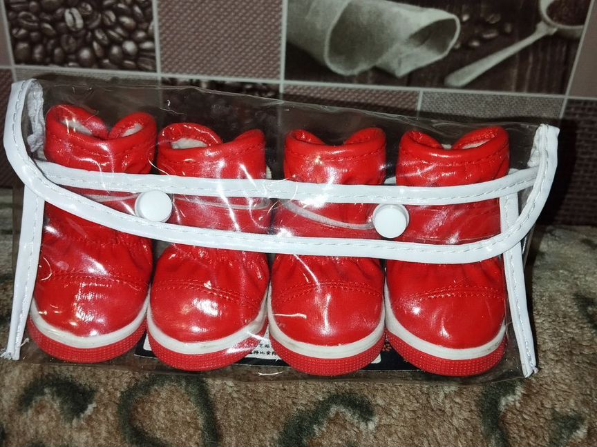 Обувь для собаки и сумка переноска