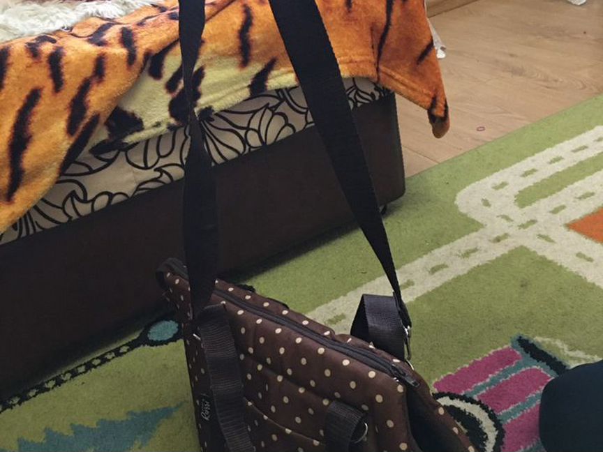 Аксесуары для животных