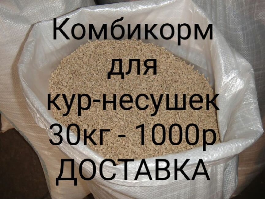 Комбикорм для кур-несушек