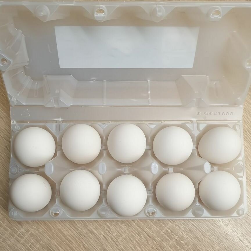 Инкубационное яйцо породных кур