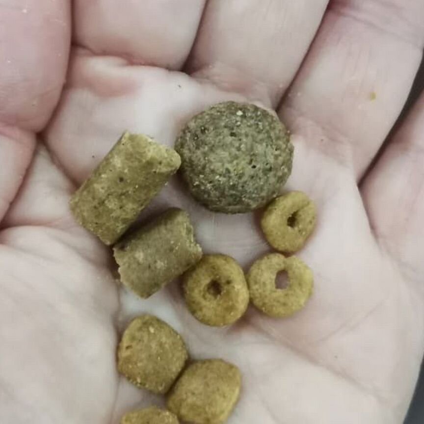 Сухой корм для собак