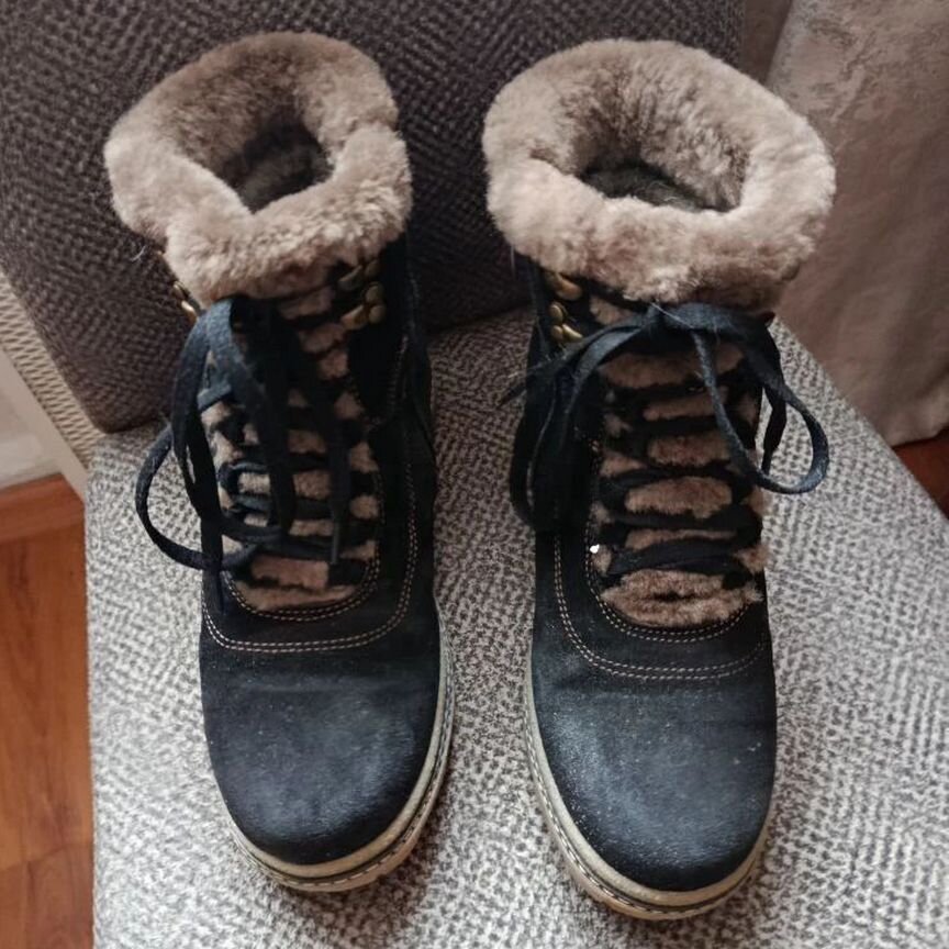 Одежда