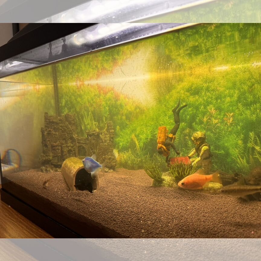 Продам аквариум