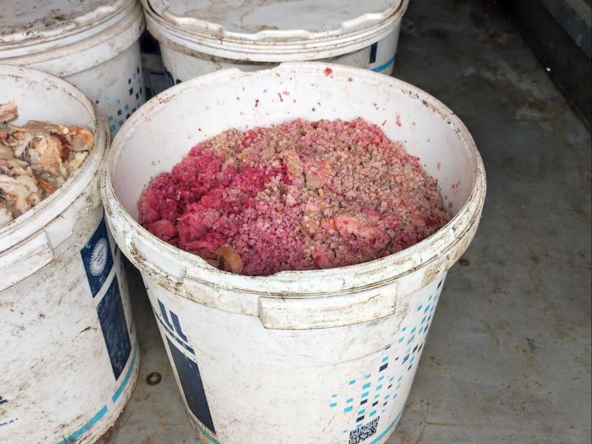 Корма для животных