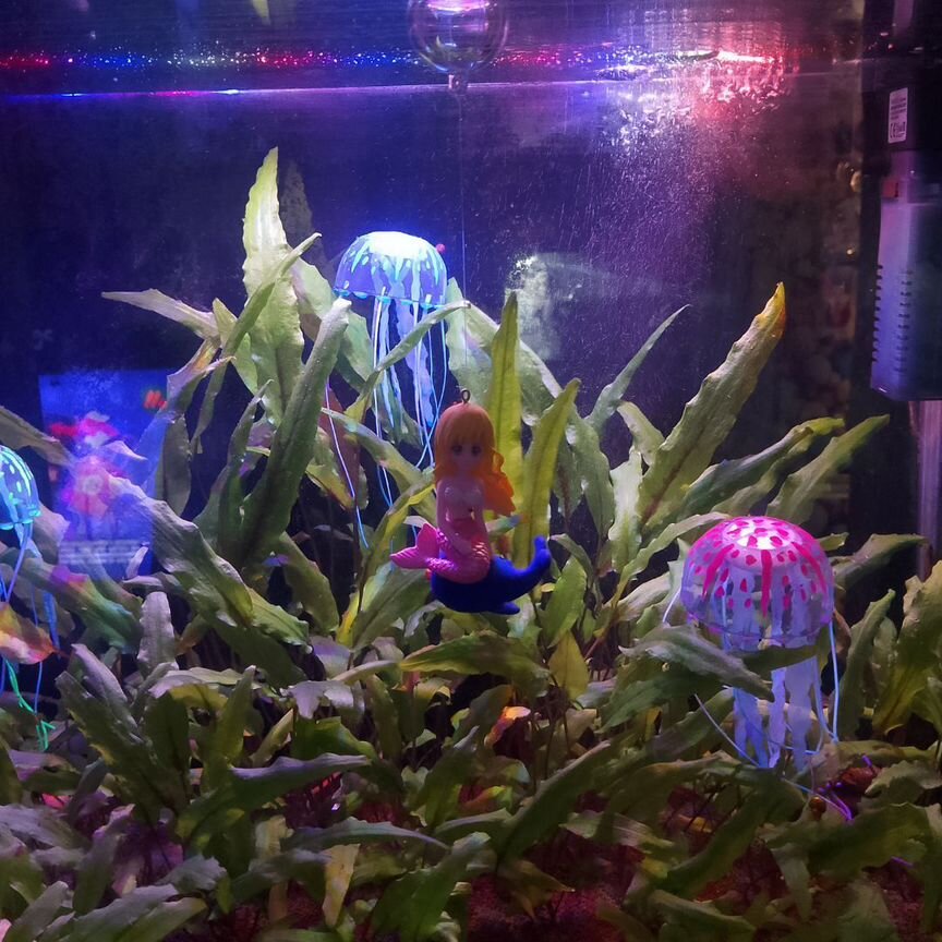 Аквариум для рыбок