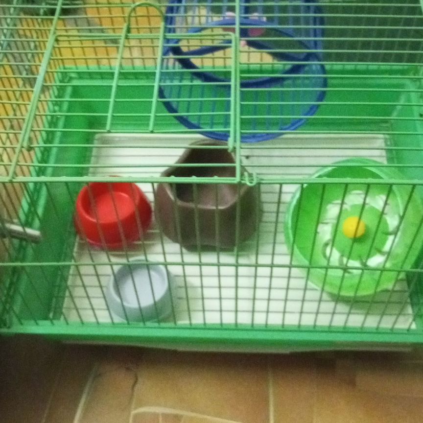 Клетка для хомяка с кормом и опилками