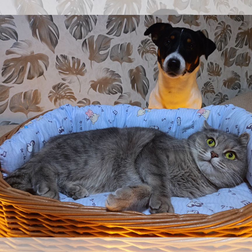 Лежанка для собак и кошек из бумажной лозы