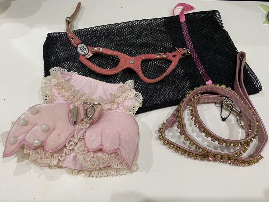 Шлейка и поводок на чихуахуа/ той терьера