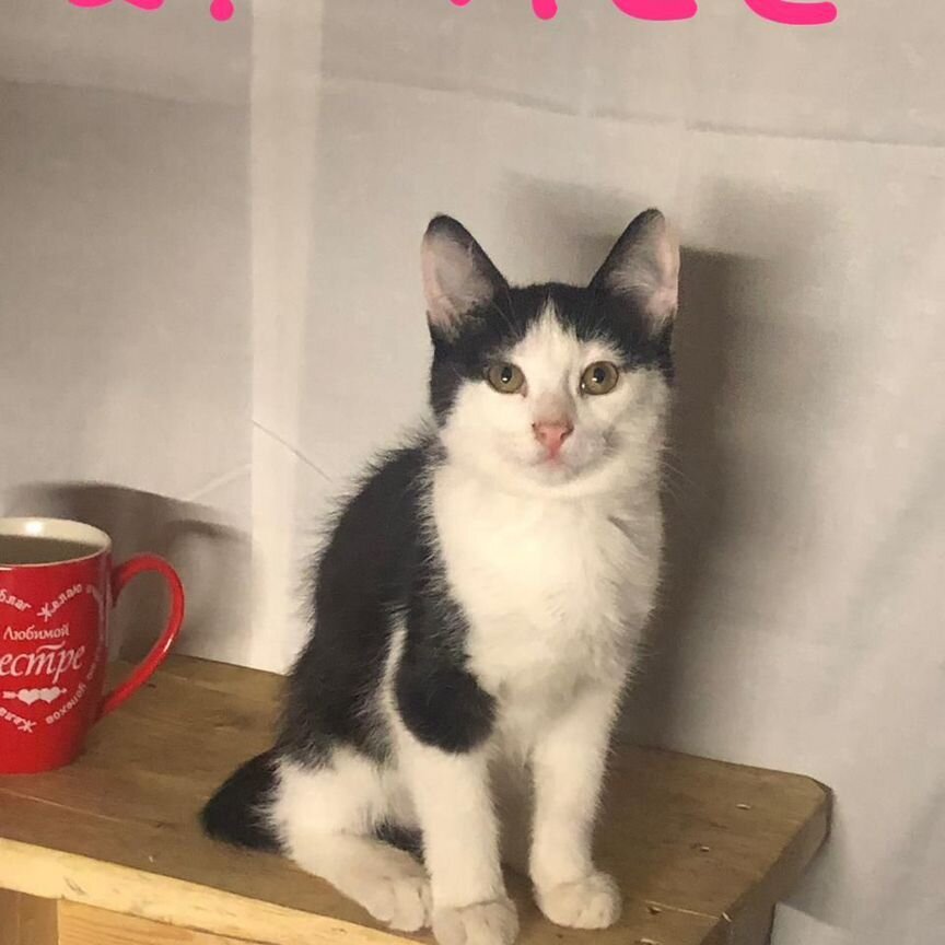 Лучики счастья