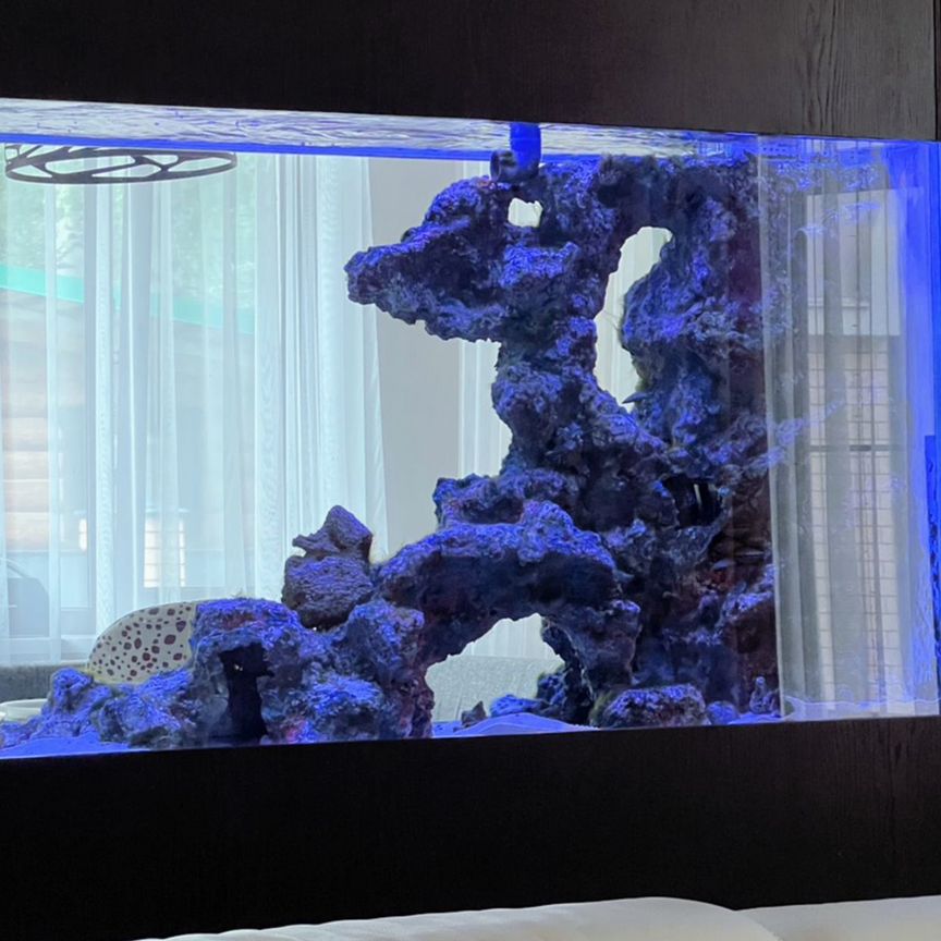 Аквариумы морские и пресноводные от 200 литров