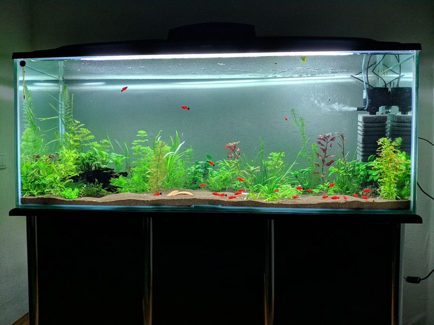 Аквариум на 500 литров