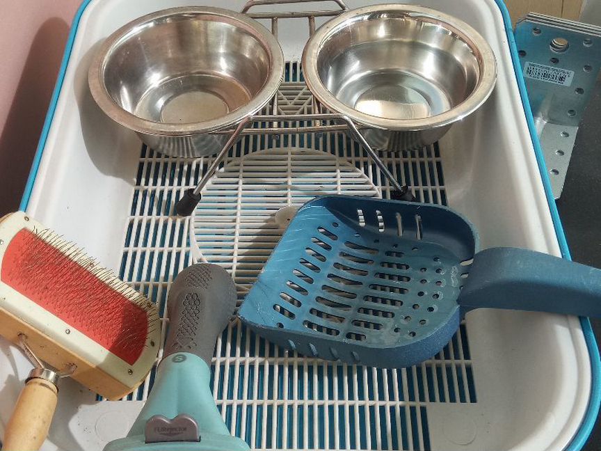 Кошачий набор