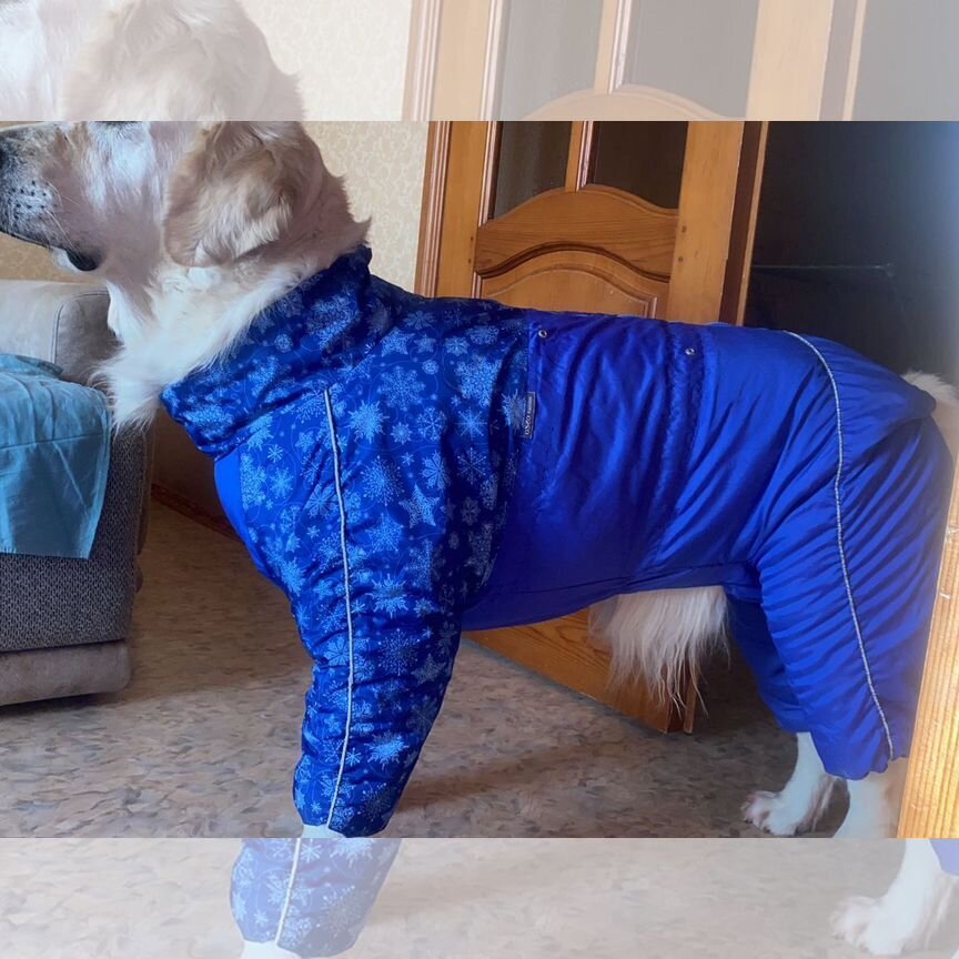 Комбинезон для собаки