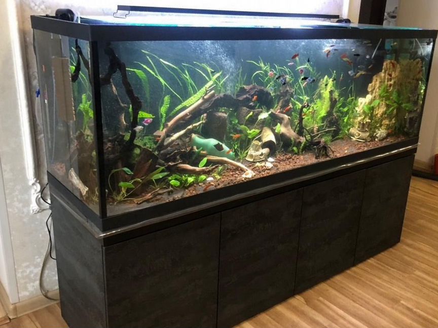 Тумба под аквариум на заказ 540 л