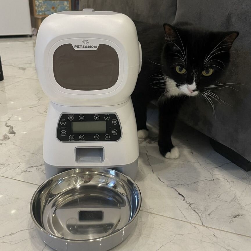 Автоматическая кормушка для кошек