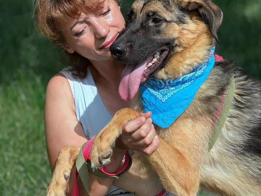 Собака Нежный Бисер