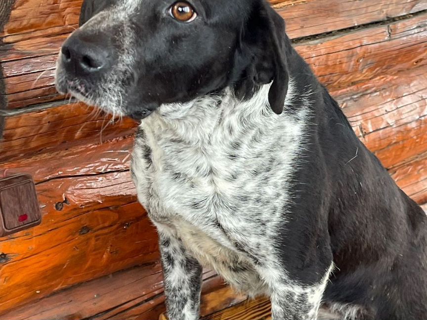 Стерилизованная девочка