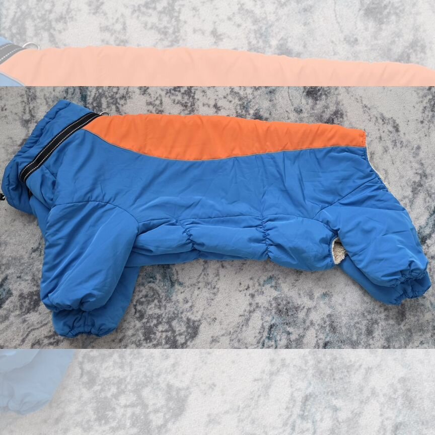 Одежда для собак