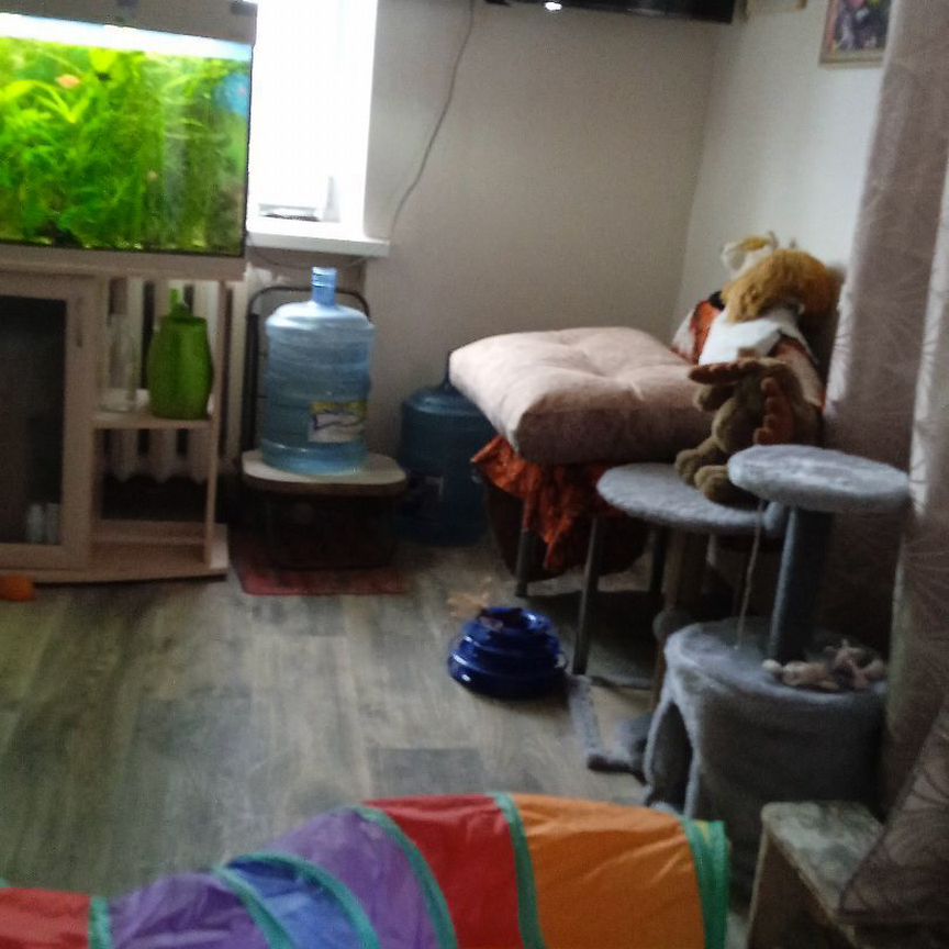 Аквариум и рыбок, и растения