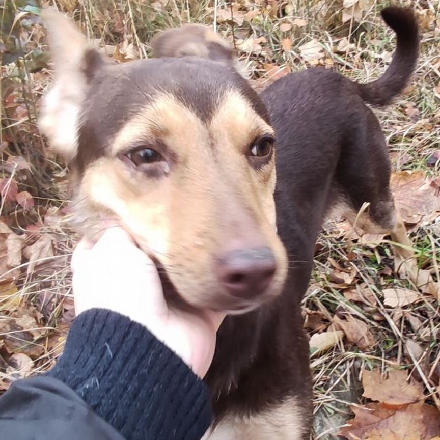 Помогите спасти малышку