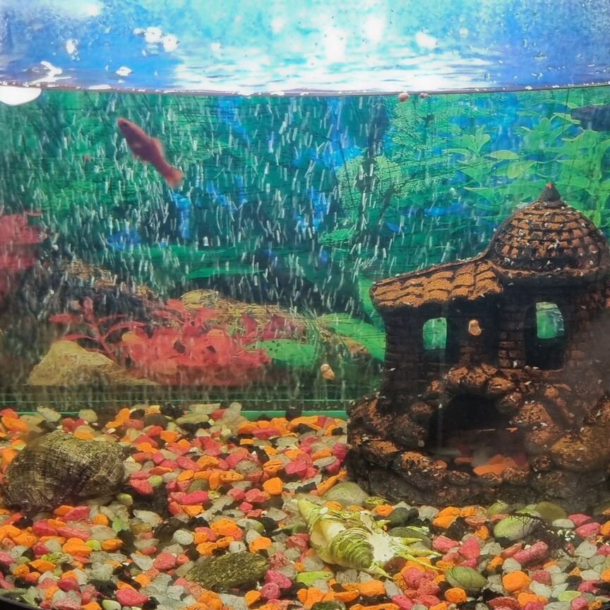 Аквариум с крышкой и подсветкой