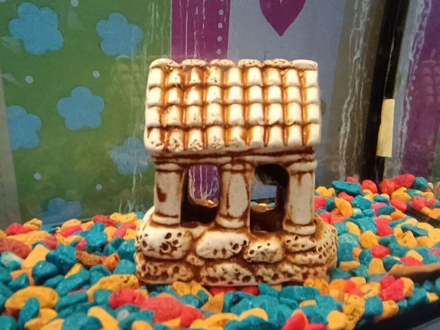 Аквариум и принадлежности для него. Успей купить