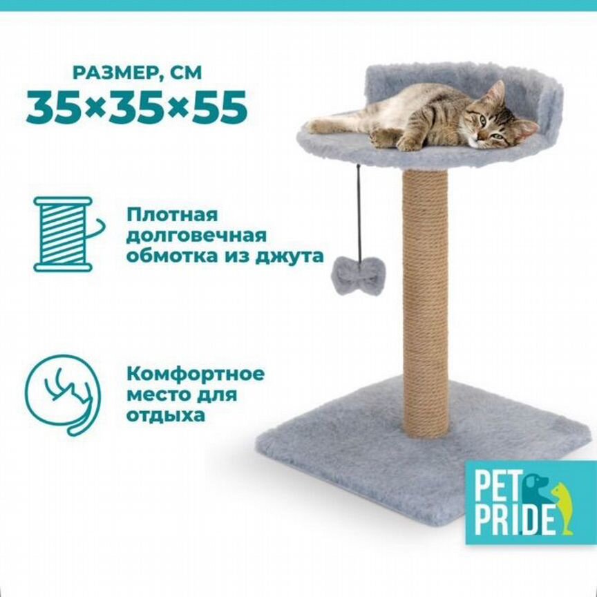 Когтеточка