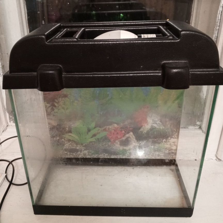 Аквариум с подсветкой